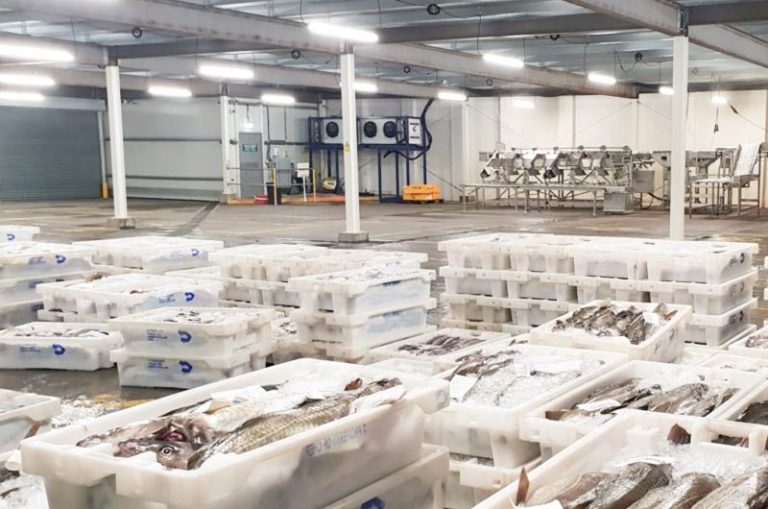 Cold Room Manufacturer, Custom Walk-in Cold Room for Industrial ...