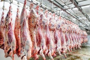 Cold Room for Meat Storage, Butcher Cold Room for Sale - LINBLE