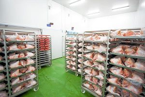 Cold Room for Meat Storage, Butcher Cold Room for Sale - LINBLE