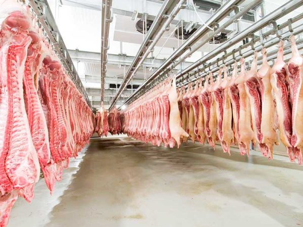 Cold Room for Meat Storage, Butcher Cold Room for Sale - LINBLE