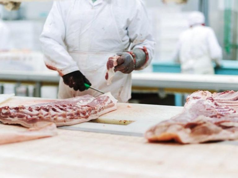 Cold Room for Meat Storage, Butcher Cold Room for Sale - LINBLE
