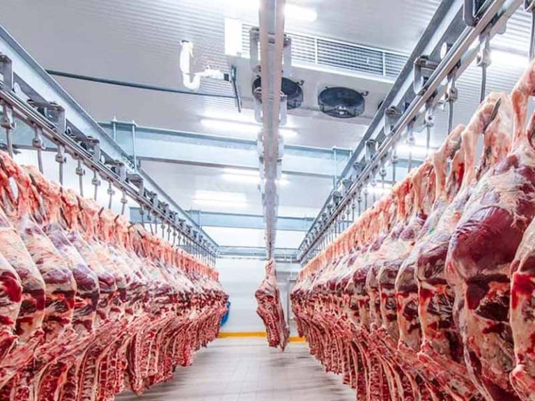 Cold Room for Meat Storage, Butcher Cold Room for Sale - LINBLE