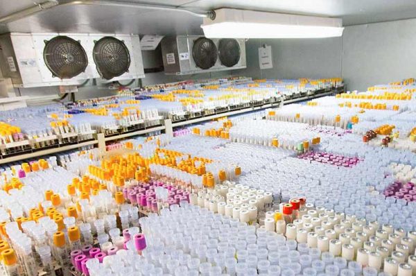 Cold Room Manufacturer, Custom Walk-in Cold Room for Industrial ...