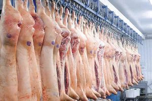 Cold Room for Meat Storage, Butcher Cold Room for Sale - LINBLE
