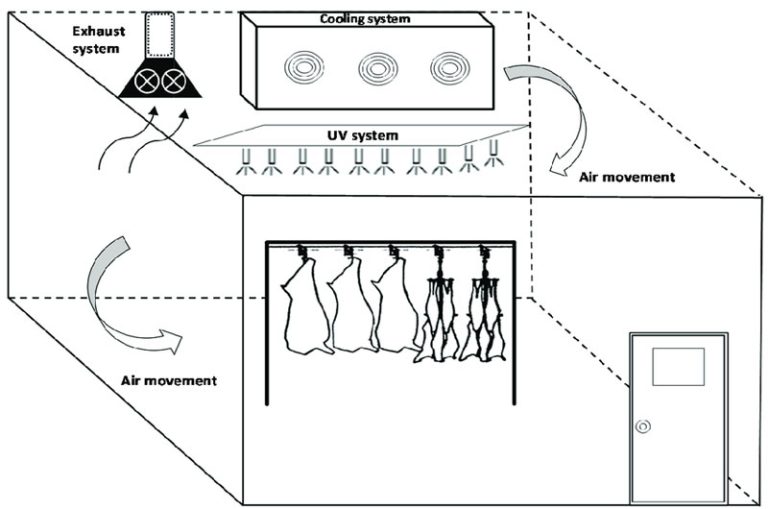 Cold Room Design and Layout: A Complete Guide - LINBLE