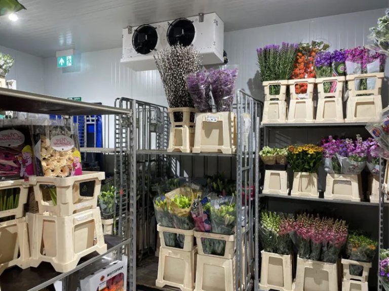 Flower Cold Room, Cold Storage for Fresh Flowers - LINBLE