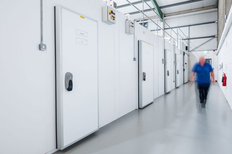 Mold and Bacteria Prevention in Cold Rooms - LINBLE