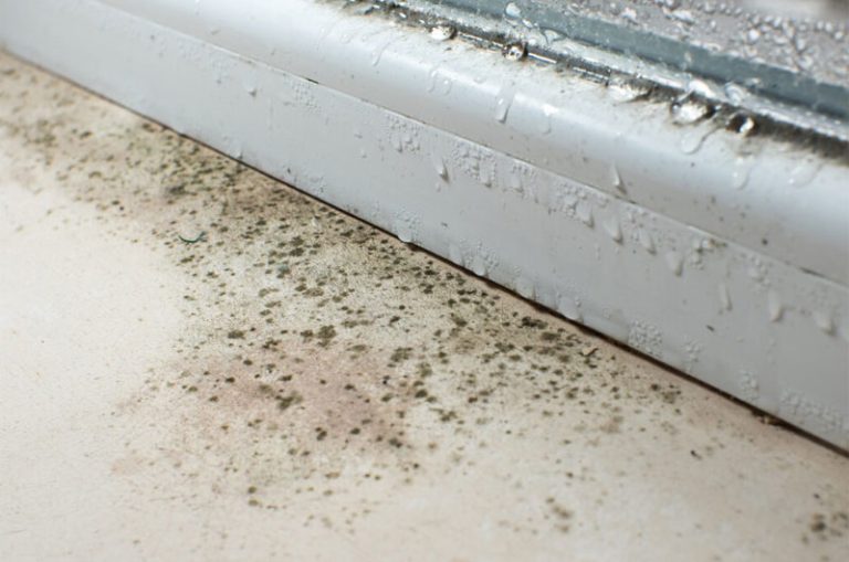 9 Common Cold Room Problems and Solutions - LINBLE