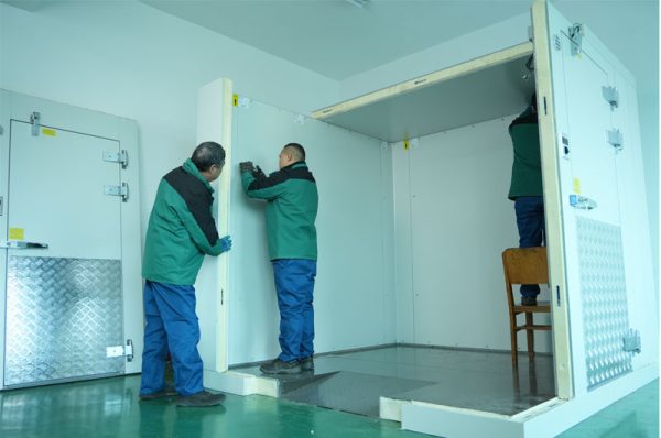 Modular Cold Rooms vs. Traditional Cold Rooms: Which is Better? - LINBLE