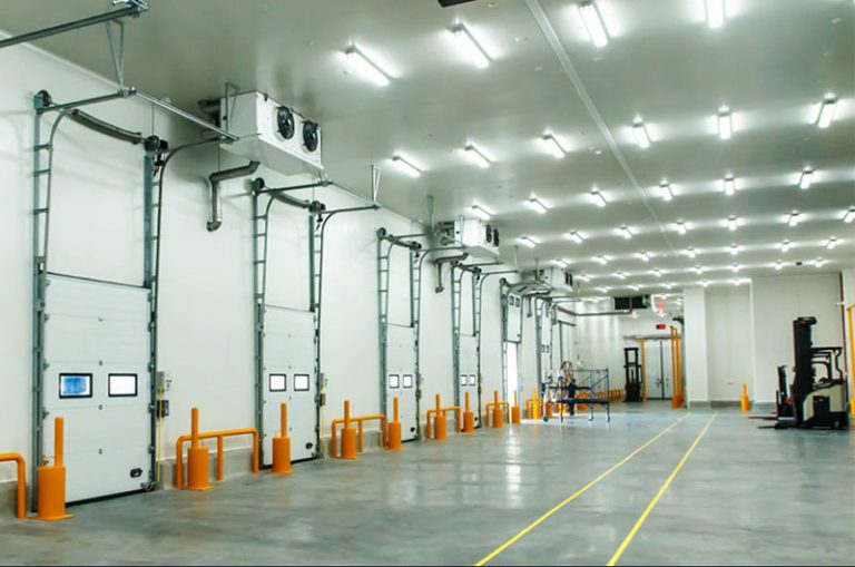 Modular Cold Rooms vs. Traditional Cold Rooms: Which is Better? - LINBLE